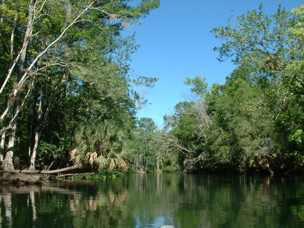Ocklawaha River & Silver Springs - Chirag Mehta : chir.ag