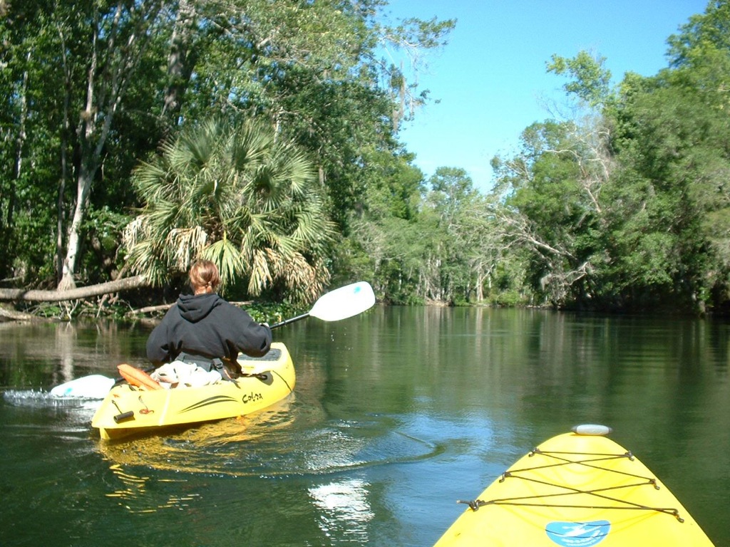 Ocklawaha River & Silver Springs - Chirag Mehta : chir.ag